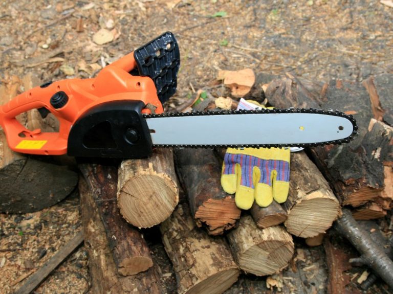 Bien choisir sa tronçonneuse électrique sans fil | Agrapresse.fr