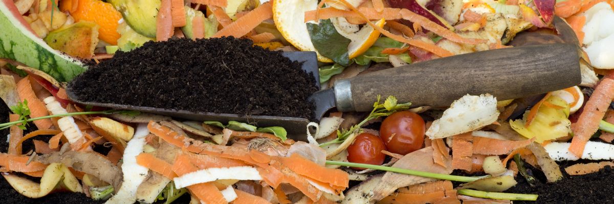 Nos conseils pour réussir son compost | Agrapresse.fr