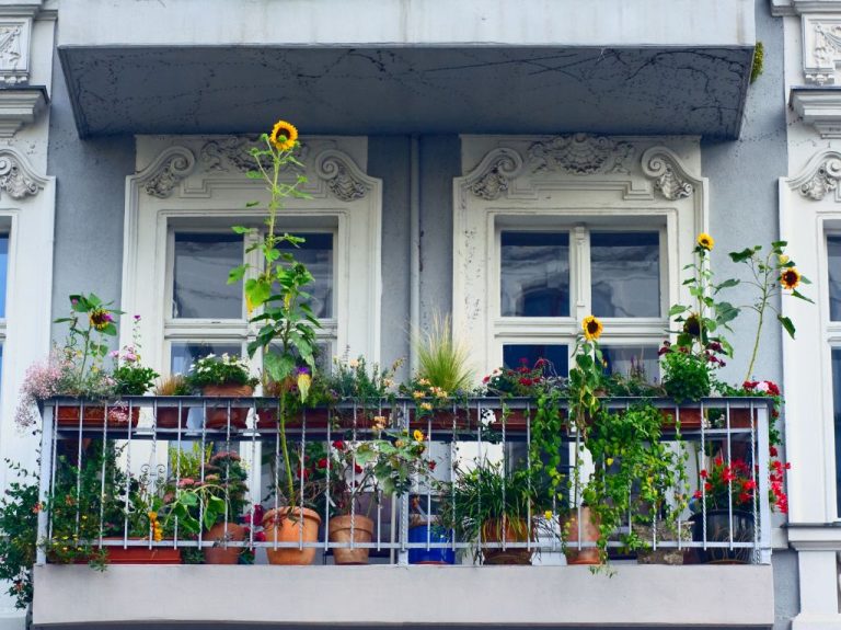 Comment installer un potager sur son balcon