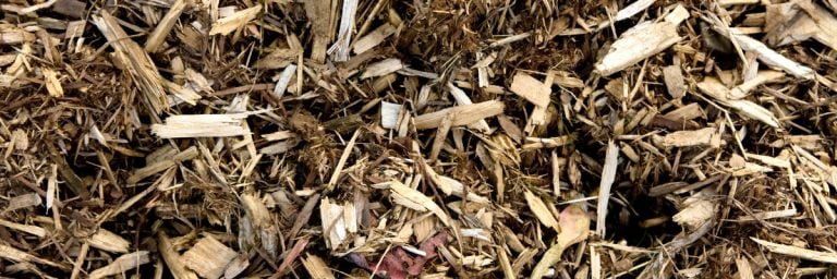 Quelques conseils étapes pour réussir son paillage.