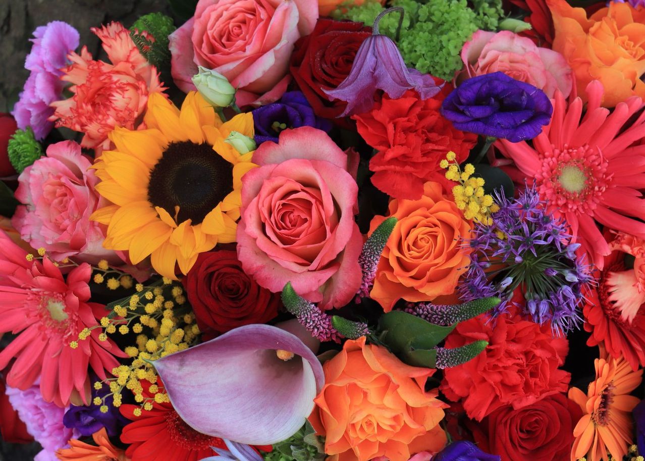 Top 10 des fleurs à cultiver dans son potager pour la Saint-Valentin