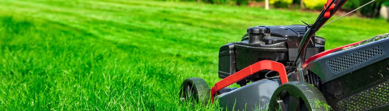 5 conseils pour avoir un magnifique gazon pour le printemps