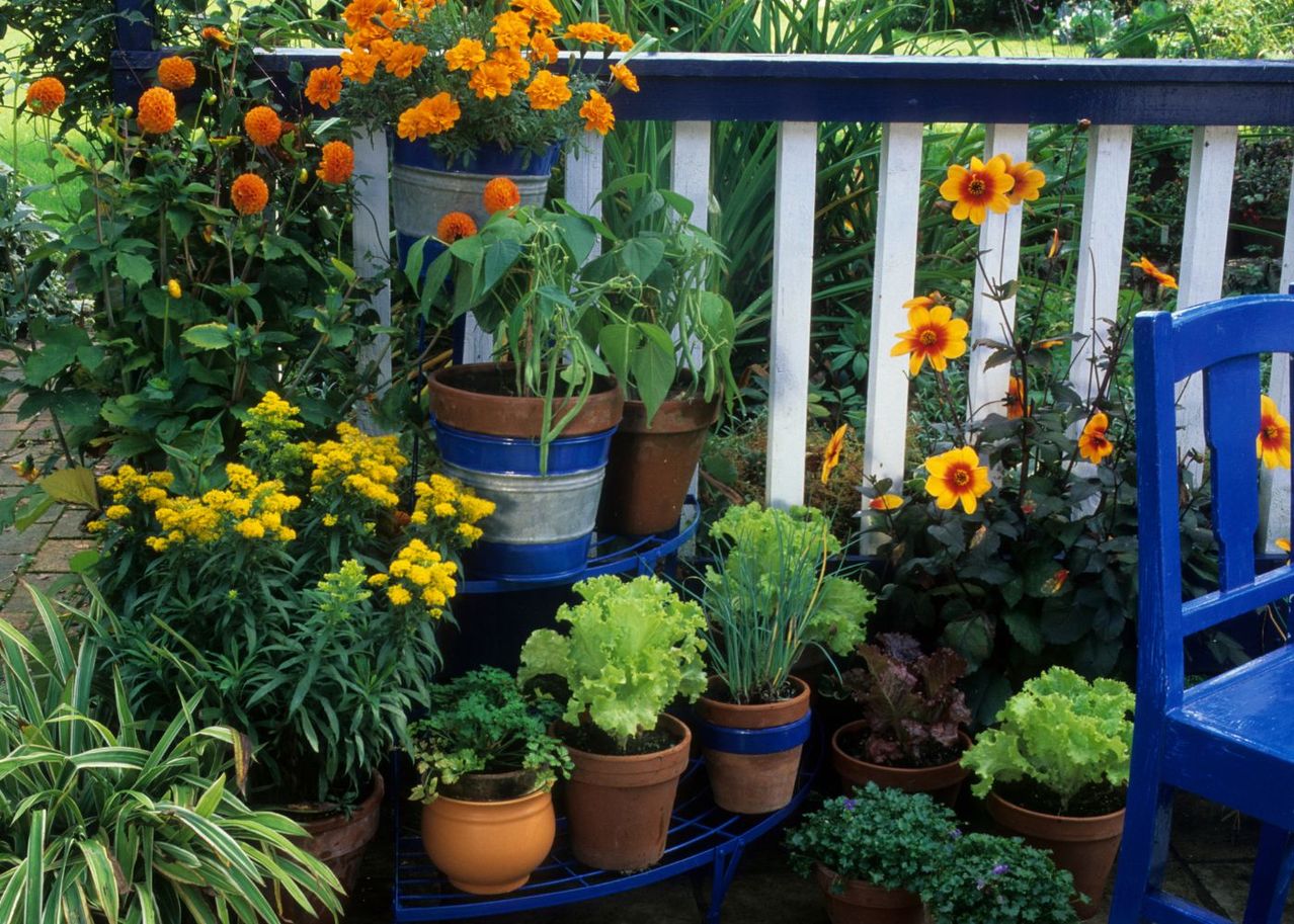 Installer un potager sur son balcon - Technique de culture moderne