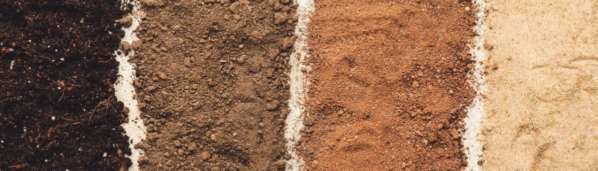 Comment choisir ses plantes selon le type de sol