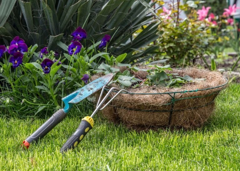 Que planter en mars pour préparer la saison chaude au potager