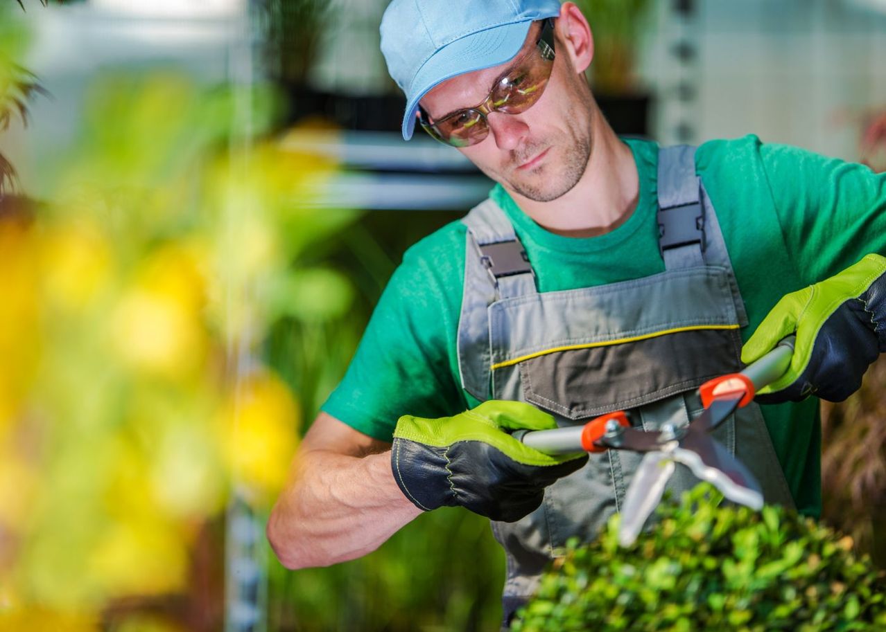 Comment choisir correctement son jardinier pour l'entretien du jardin