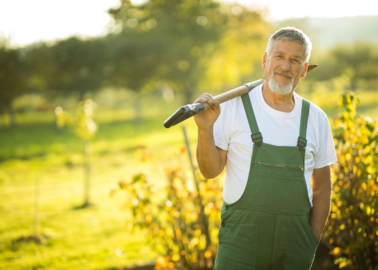 Comment choisir correctement son jardinier pour l'entretien du jardin
