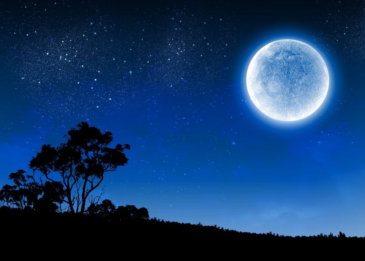 Comment utiliser la lune pour jardiner ? Quel est le fonctionnement du ...