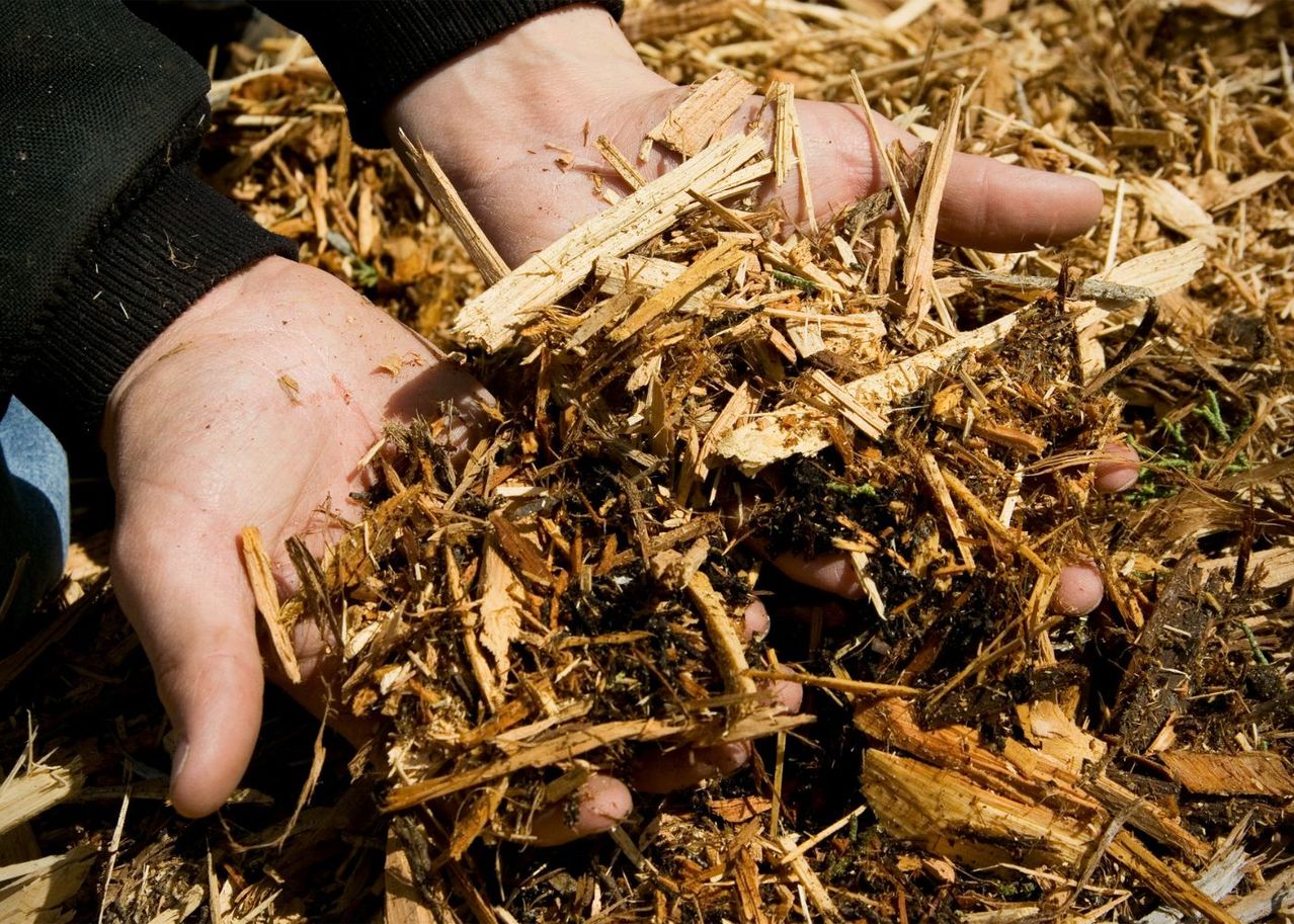 Les différentes méthodes de paillage en jardin biologique