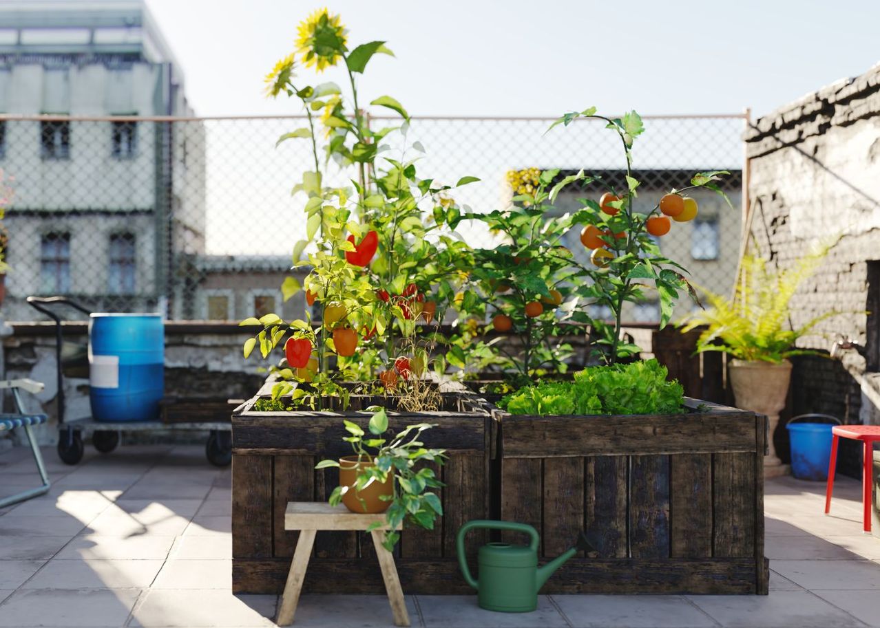 Cultiver un jardin sur son toit : une tendance urbaine qui vous ...