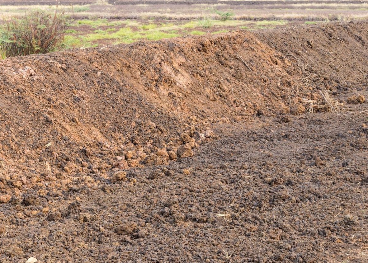 Connaître les types de sols du jardin