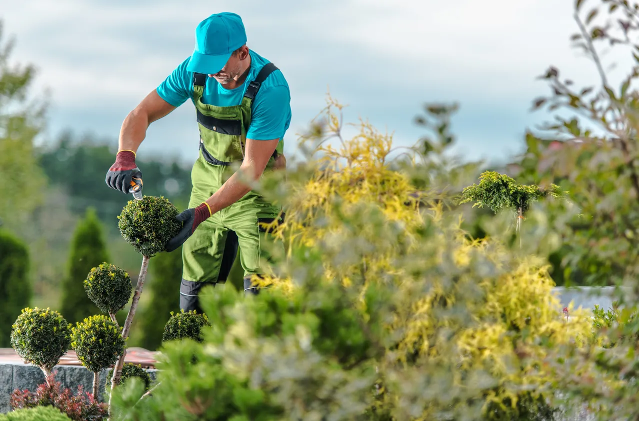 Dites adieu aux soucis de jardinage : embauchez un jardinier
