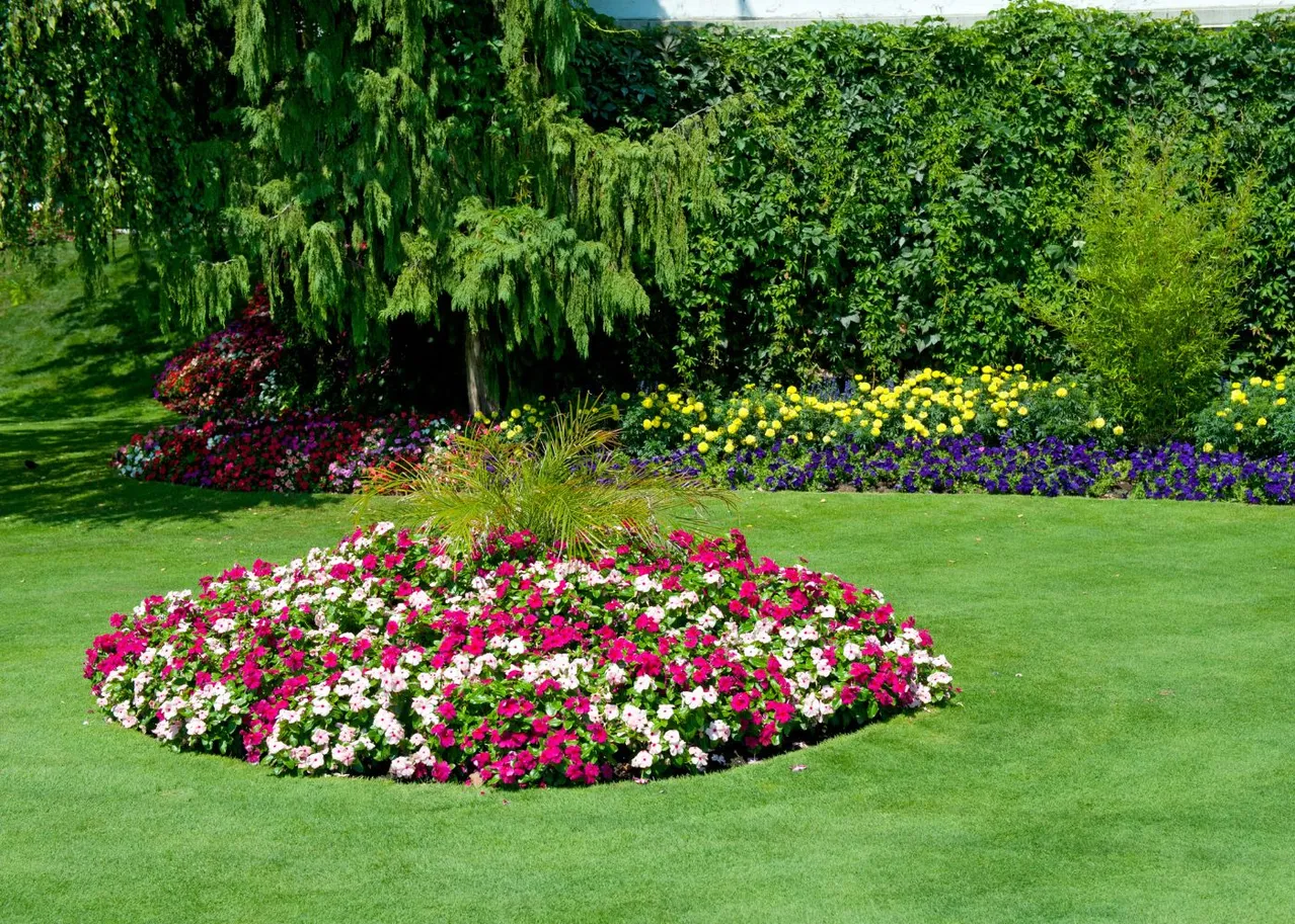 Massifs fleuris : quand et comment tailler, diviser et entretenir vos ...