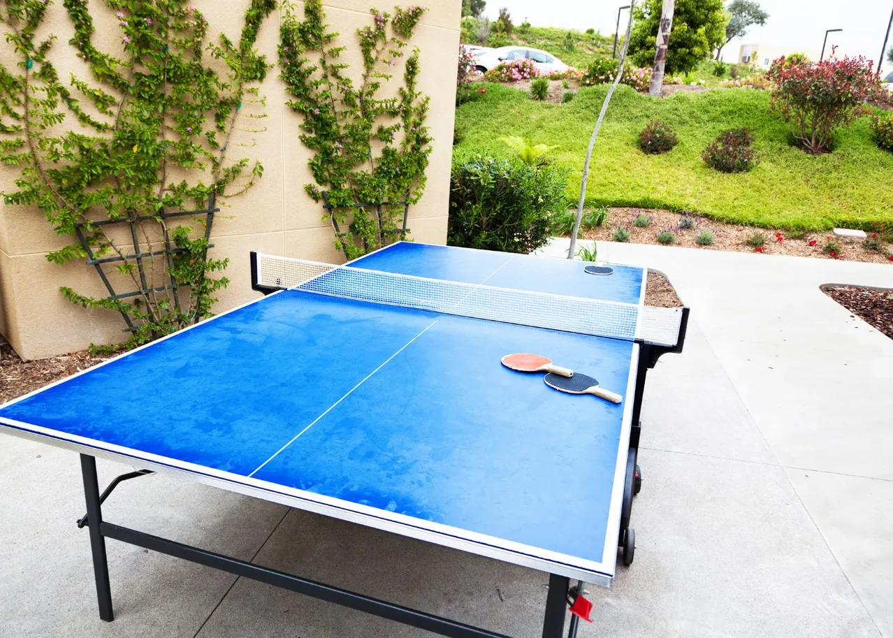 Table de ping-pong : le must have pour l'été dans votre jardin