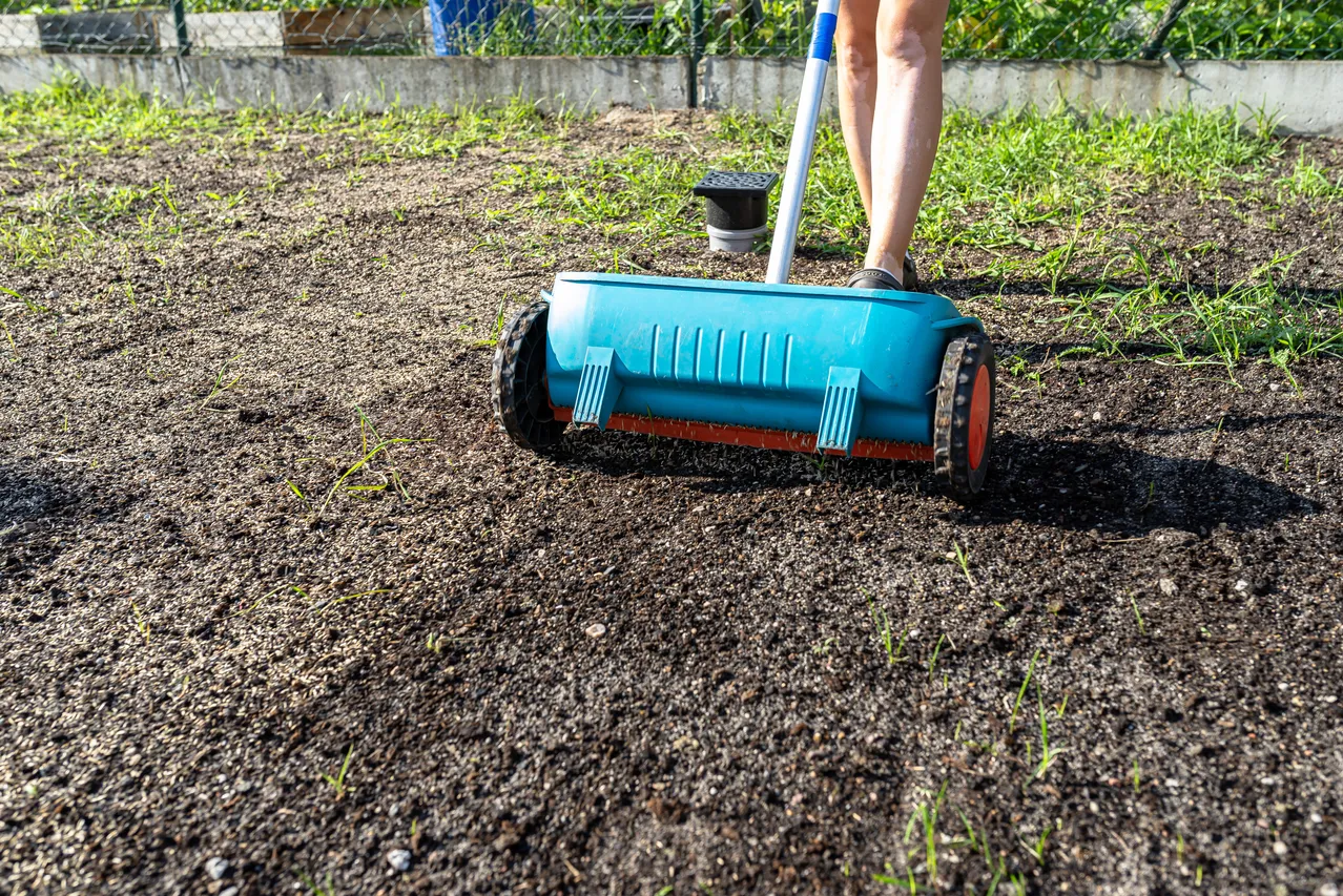 Semer du gazon sans rouleau : une pelouse flamboyante à partir de zéro