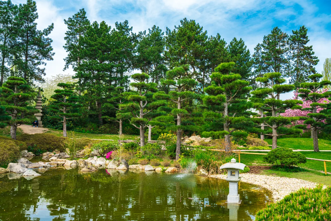 5 astuces de paysagisme incontournables pour un jardin sublime