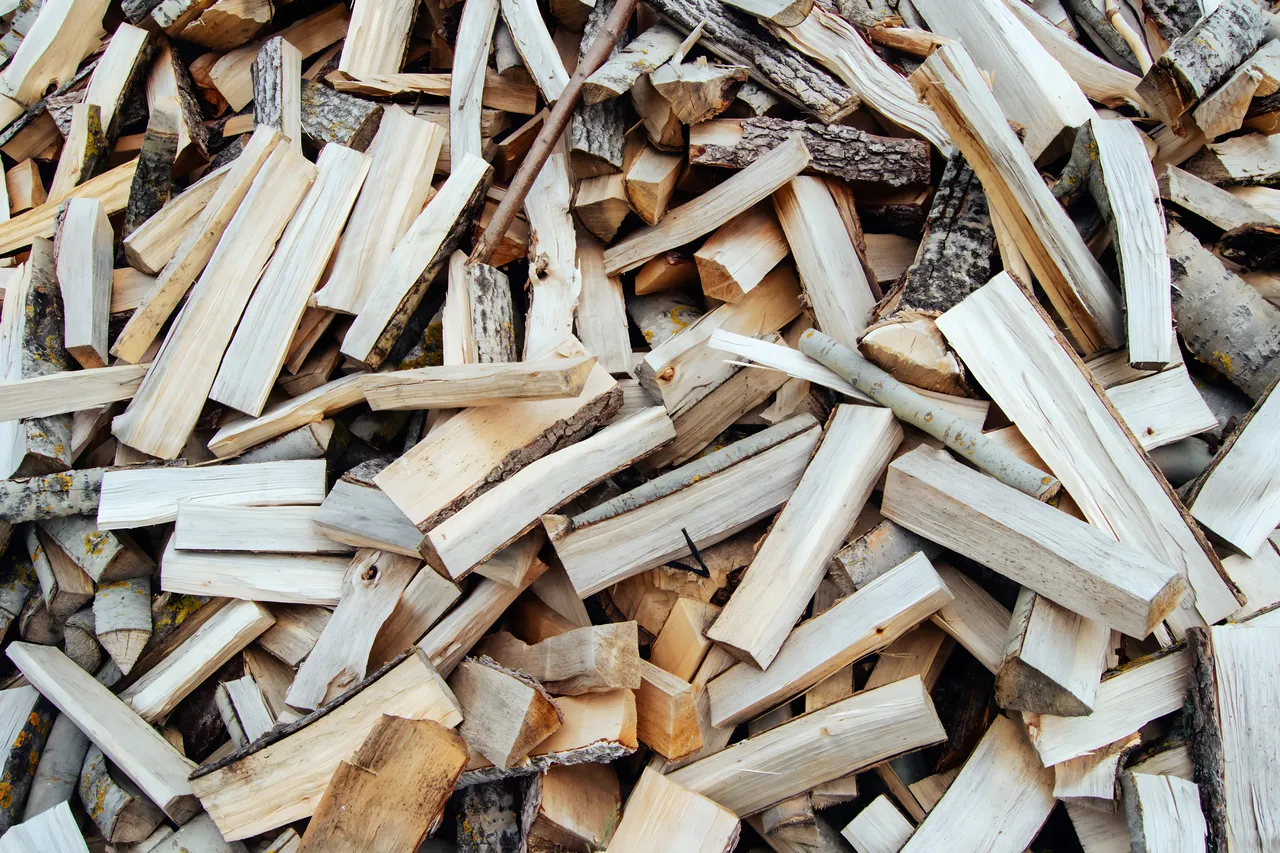 Pourquoi certains types de bois sont dangereux ? Les dangers liés à l ...