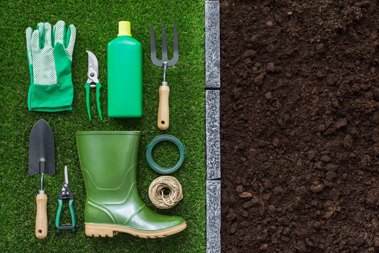 10 outils indispensables pour le jardinage : voici la liste des ...
